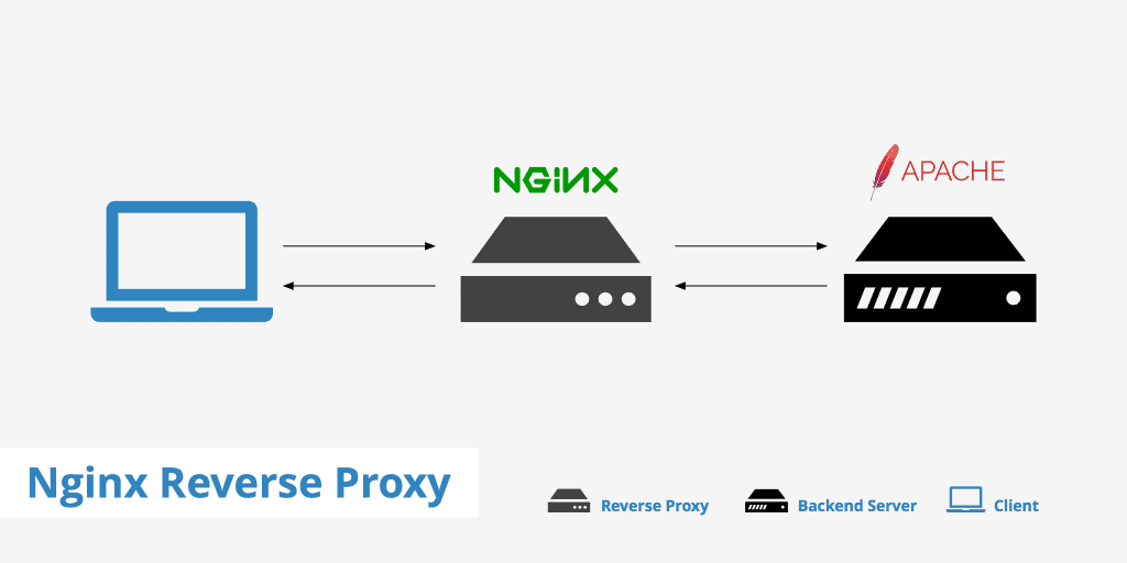 Setup Reverse Proxy Nginx Apache Directadmin With Just 5 Commands